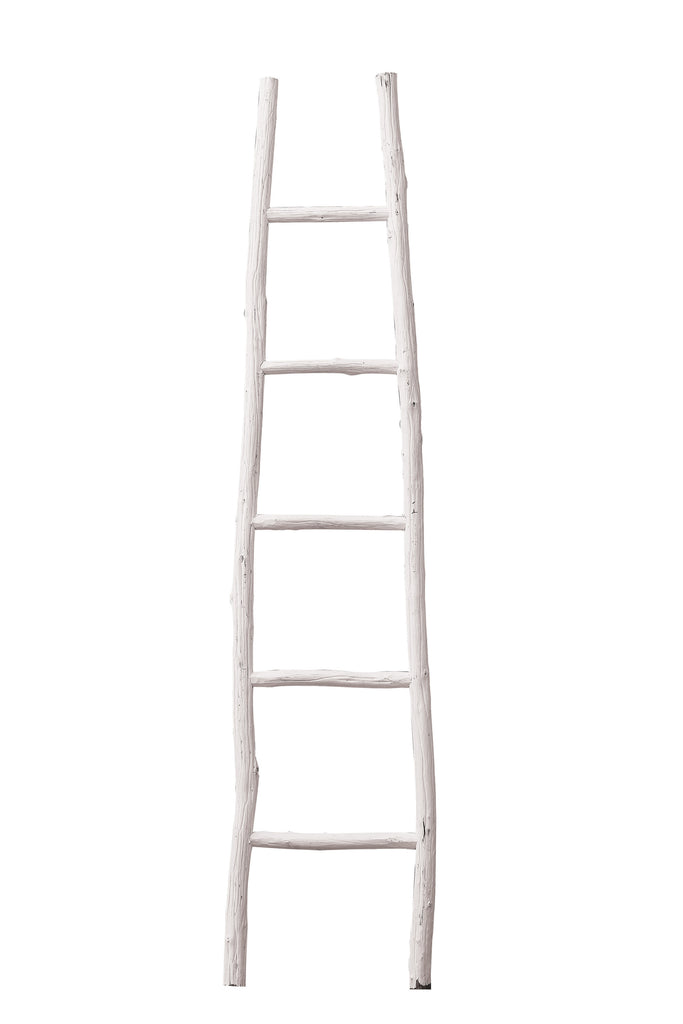 Tanoak Decorative Ladder– Lamb & Co.